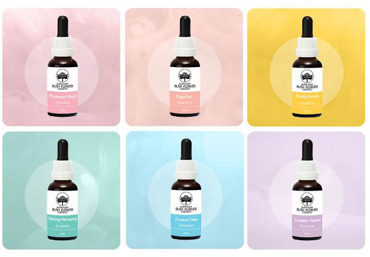 Using the Australian Bush Flower Essences and combinations for wellbeing.